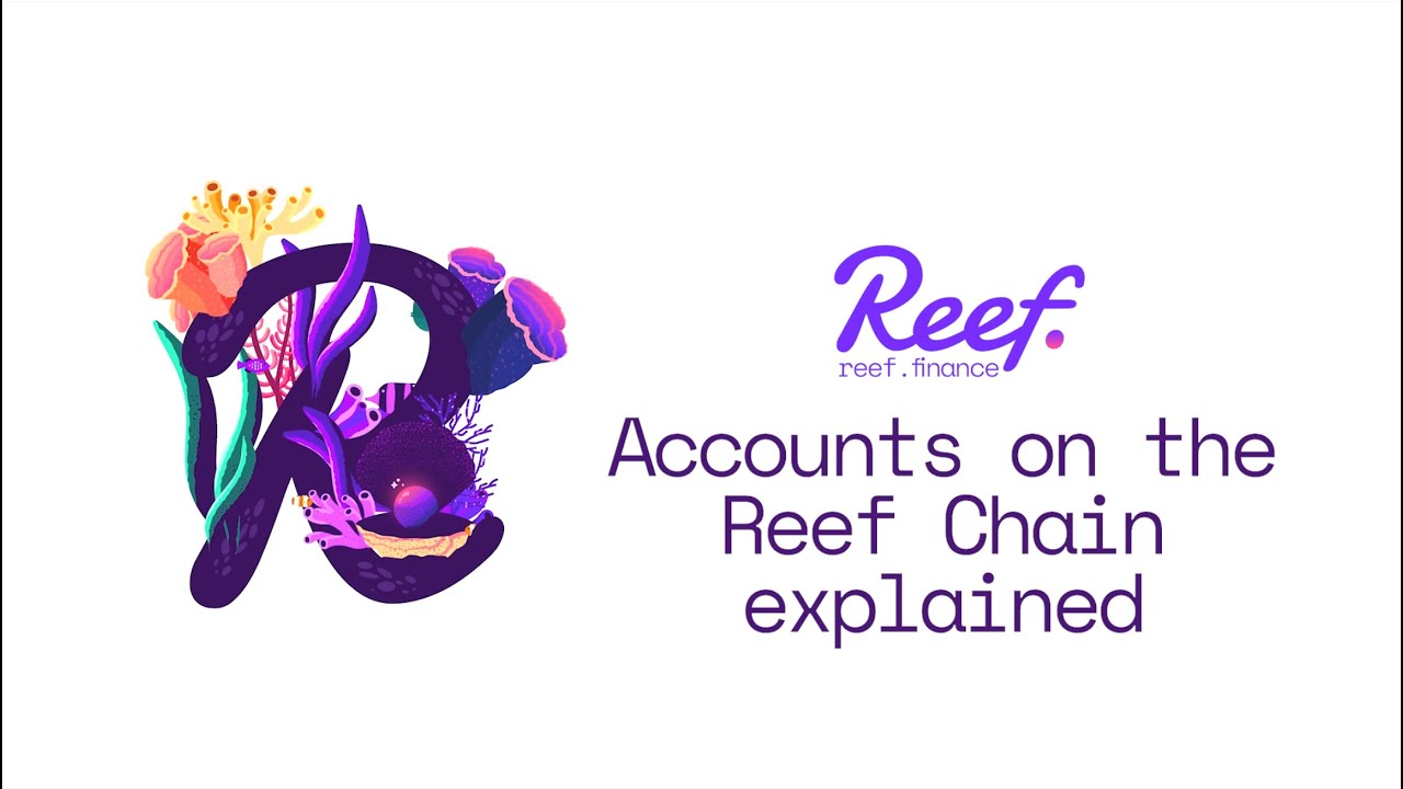 Accounts on the Reef Chain Explained | Reef Tutorials