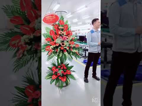 8/3 phòng sản xuất cty s-connect-vinh