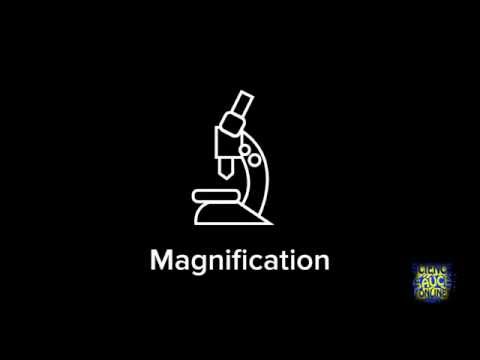 How to calculate magnification