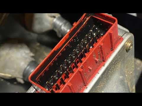 Oil in red plug on ECU TD5
