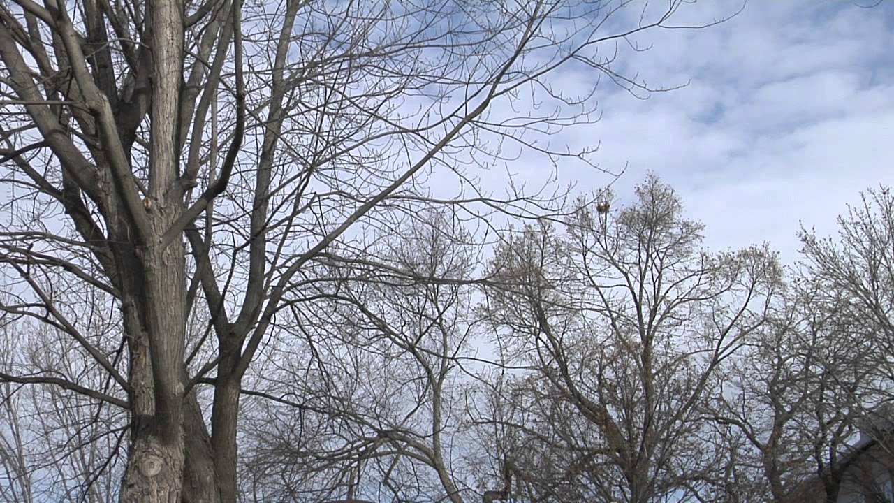 Winter Safety Awareness Week-YouTube