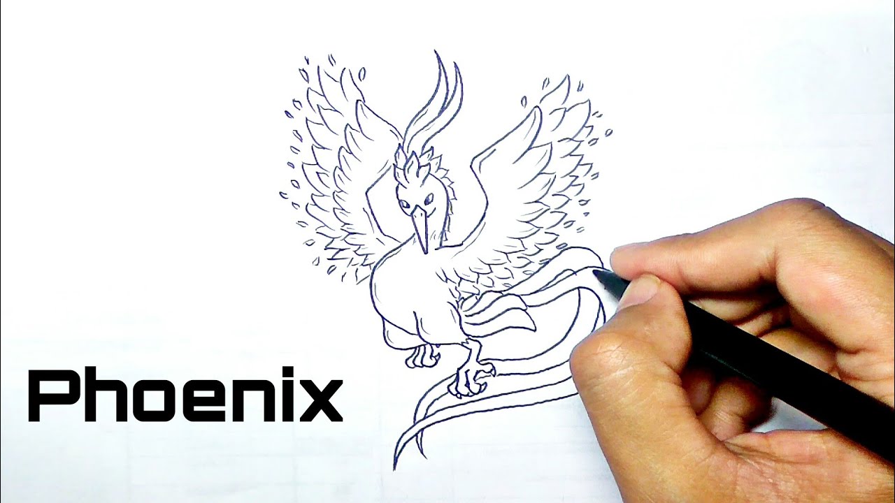 How to draw a phoenix easy | how do you draw a phoenix