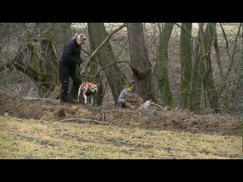 2012-02-27 Vorführung Listenhunde 032.MTS