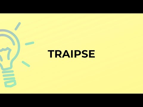 What is the meaning of the word TRAIPSE?