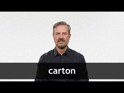 CARTON definition and meaning | Collins English Dictionary