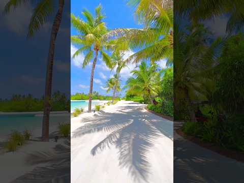 Maldives ???????????? | 4K | #maldives #sea #beach #ocean #beautifulplaces