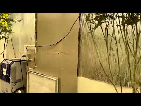 CTII 1000w led grow lights -CRETIVITY®