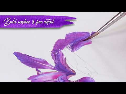 Iris Siberica - Preview with Billy Showell ⎮Watercolour Beautiful