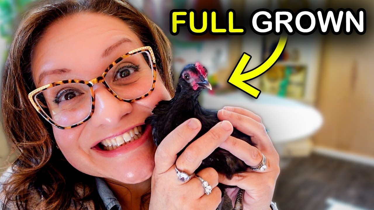 Introducing The Smallest Chickens In The World 🥹