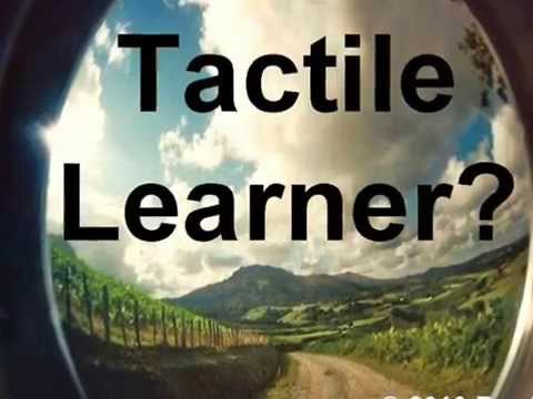 What Type of a Learner Are You? - Rey Ty