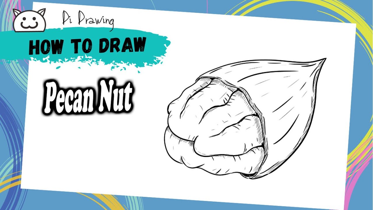 How to Draw Pecan Nut Easy Drawing