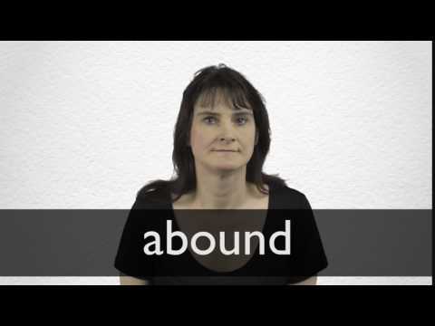 ABOUND definition in American English | Collins English Dictionary