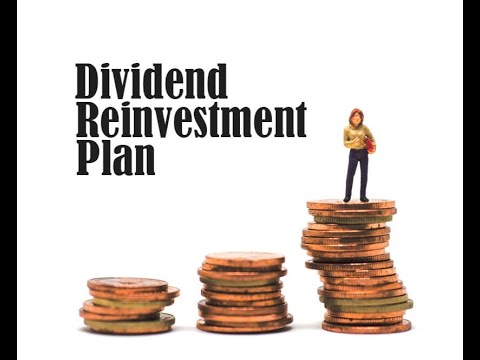 Dividend Reinvestment Plan DRP DRIP