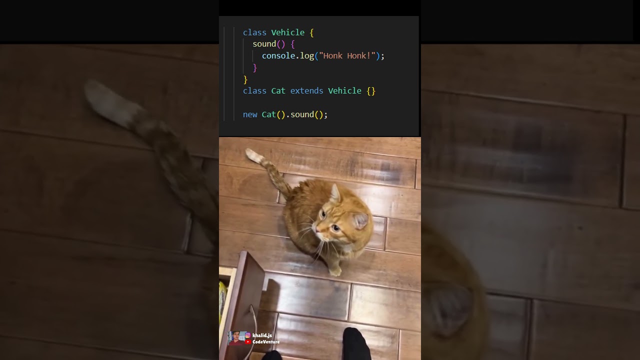 inheritance part 2 #coding #programming #javascript #python