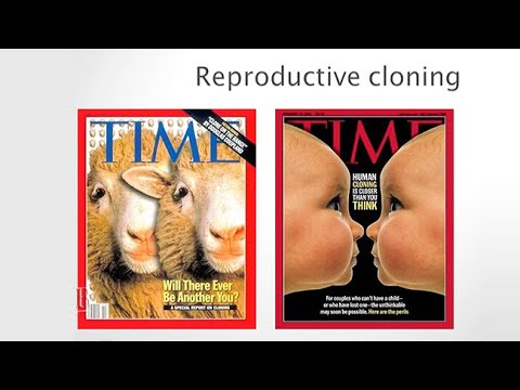 Marcy Darnovsky: Should We Genetically Modify Our Children?