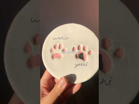 Cat paw print trinket using #airdryclay 🐈🩷🤍🖤