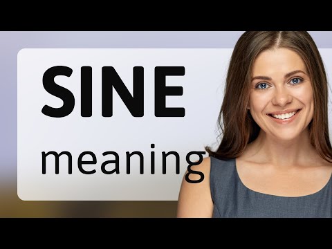 Sine — meaning of SINE