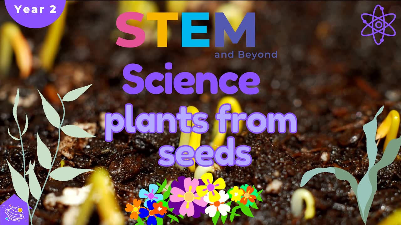 How Plants Grow | KS1 Science Year 2 | Home Learning