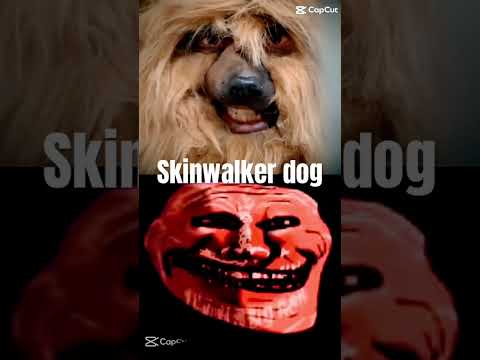 Skinwalker dog #trollface #scary #skinwalker