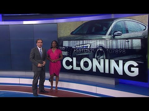 How To Detect A Cloned Car | VIN Cloning Scams