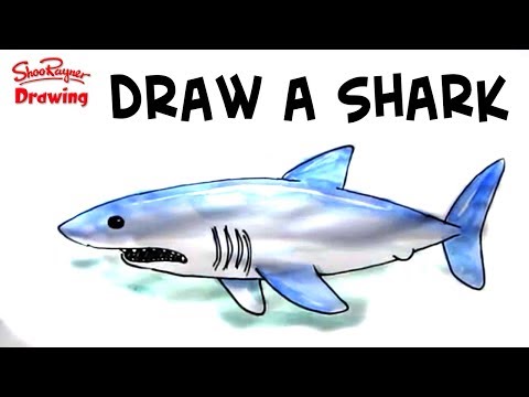 How To Draw A Shark – Shoo Rayner