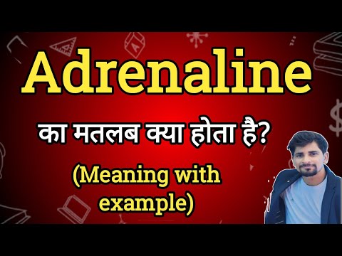 Adrenaline Meaning in Hindi | Adrenaline Ka Matlab kya Hota hai| English to Hindi dictionary