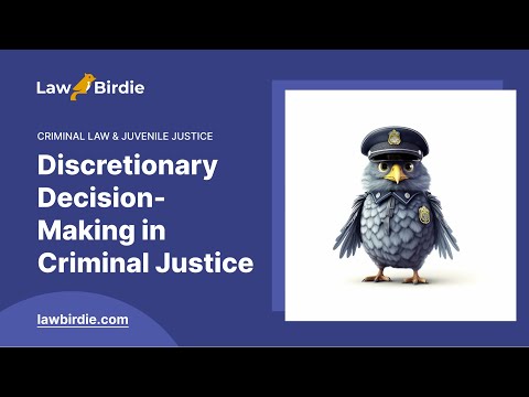 Discretionary Decision-Making in Criminal Justice - Essay Example