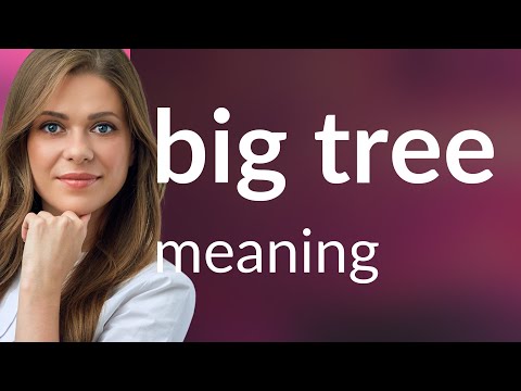 Big tree — meaning of BIG TREE