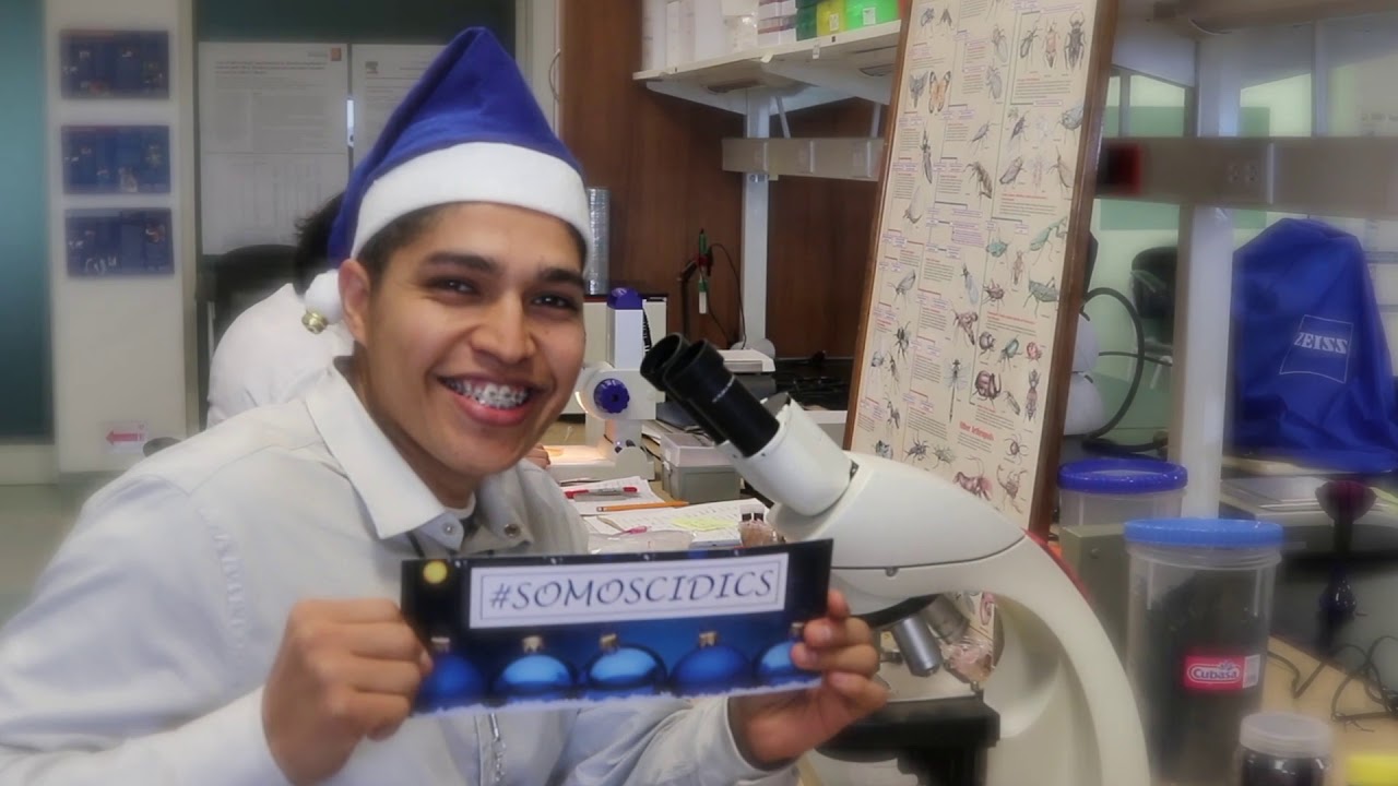 VIDEO NAVIDEÑO CIDICS 2018