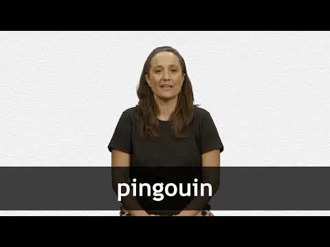 How to pronounce PINGOUIN in French