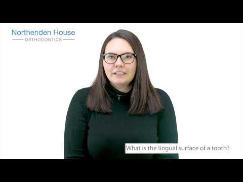 What Is The Lingual Surface Of A Tooth? | Northenden House Orthodontics