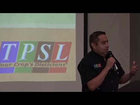 COMPOST STA Test Reports Explained
