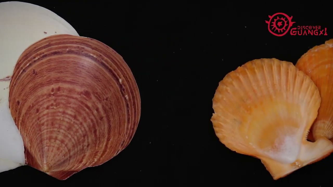 “Splendors of Guangxi • Colorful Intangible Cultural Heritages” Online ...