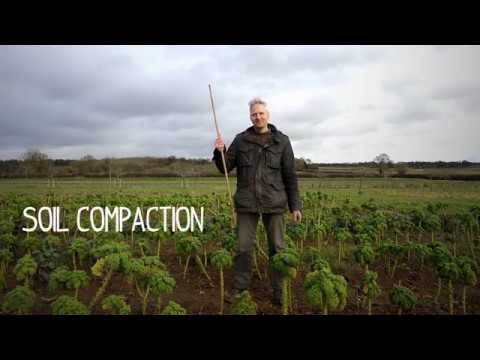 GREATsoils: The Soil Compaction Test