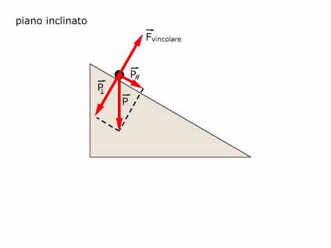 TEORIA I vincoli e l equilibrio AMALDI ZANICHELLI