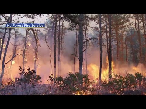 Red Flag Warning: Dry air, gusty winds driving up risk of wildfires in South Jersey