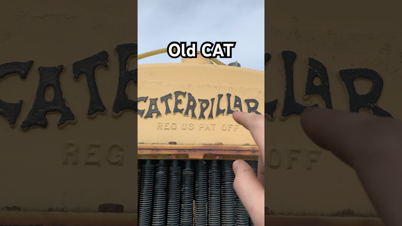 100 year old cat logo