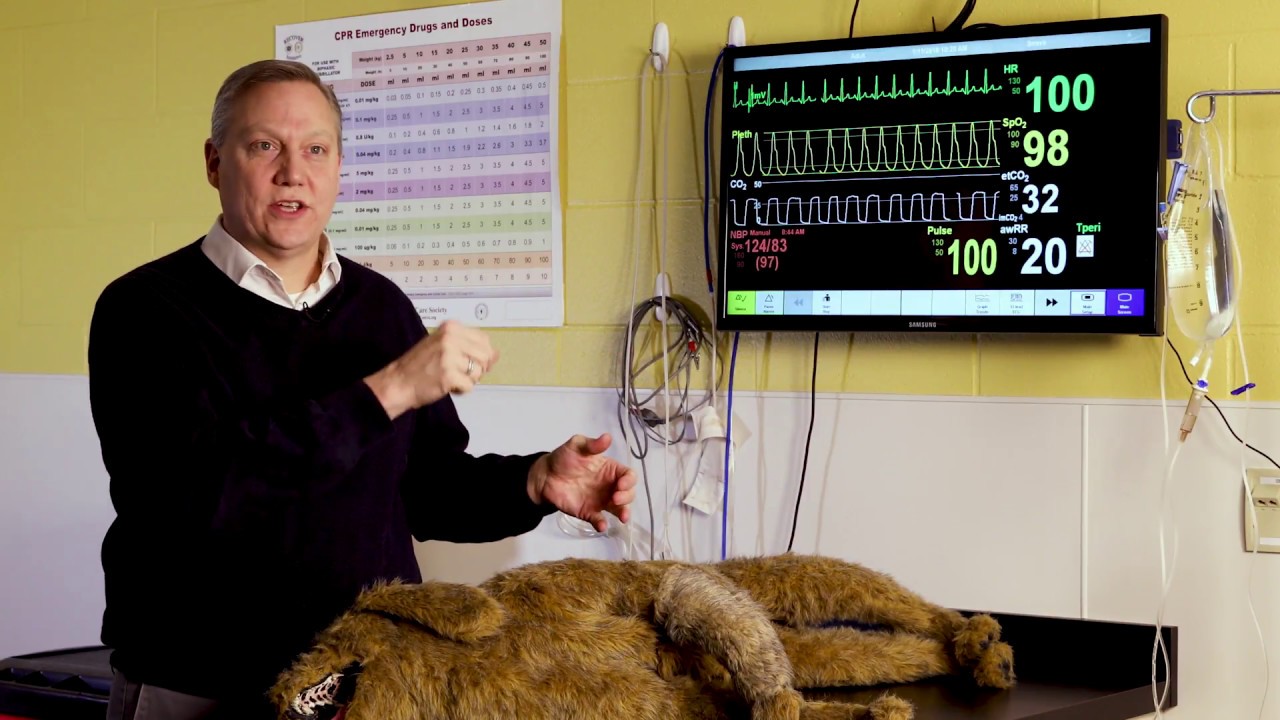 Getting Started with Problem Based Learning