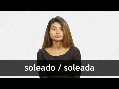 Traducción en inglés de “SOLEADO” | Collins Diccionario español-inglés