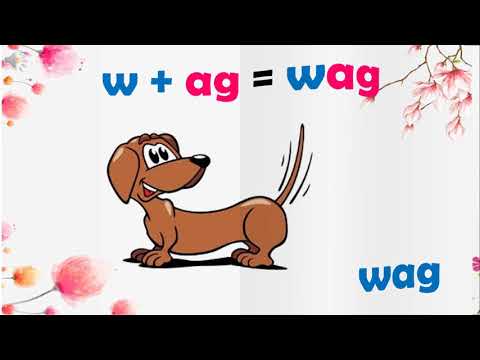 3 LETTER WORDS WITH AG SOUND