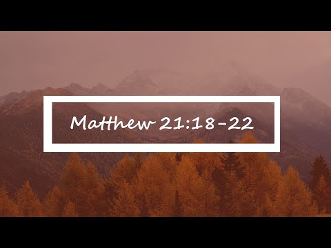 Matthew 21:18-22 | Matthew Verse-by-Verse | Bible Study