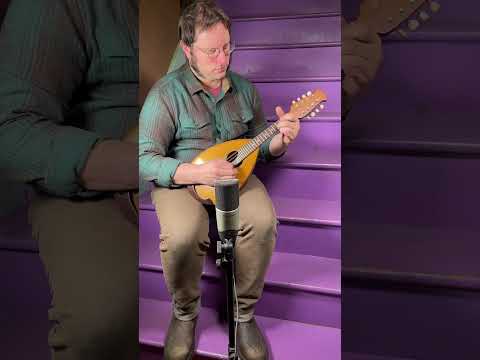 1970s Suzuki Spruce/Maple Bowlback Mandolin (VIDEO! Fresh | Reverb