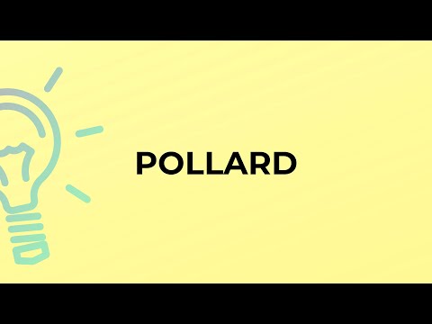 What is the meaning of the word POLLARD?