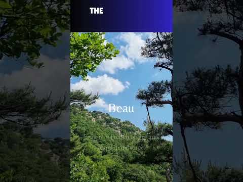 Name Mysteries: The Meaning of Names