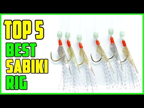 TOP 5 Best Sabiki Rig 2025