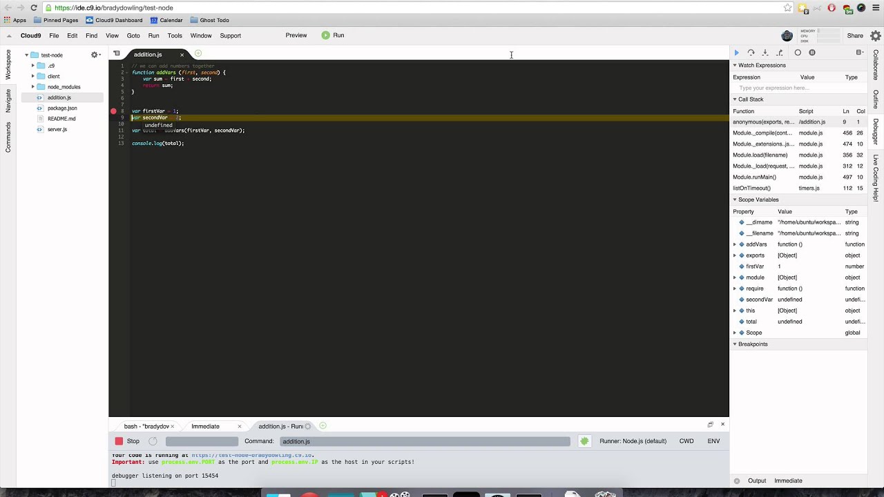 Debugging Basics - Node
