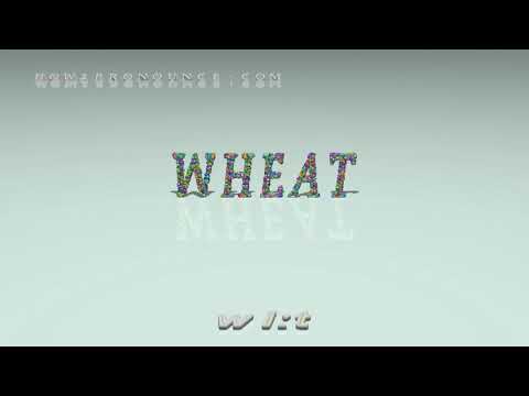 wheat - pronunciation + Examples in sentences and phrases