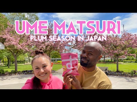 Ume Matsuri: Plum Season in JAPAN