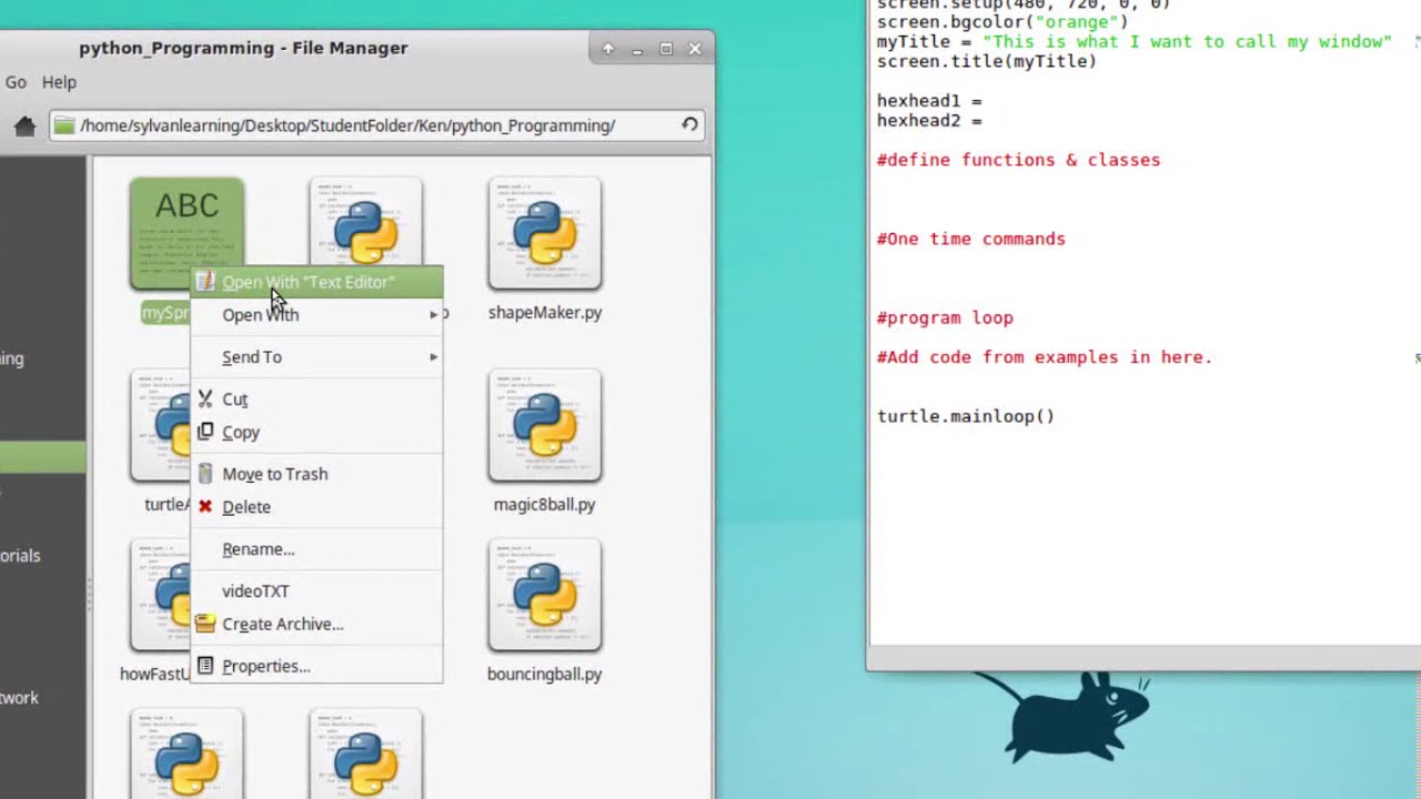 Python for Kids - Turtle module Beginner - Hex Head
