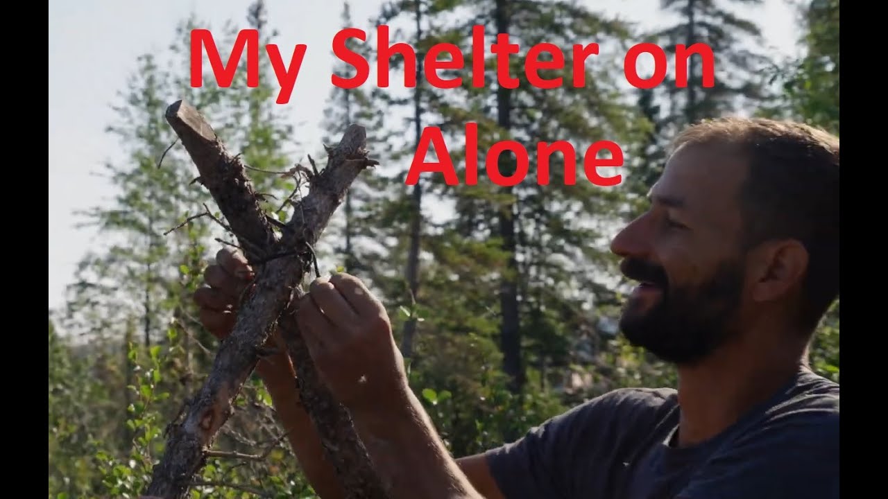 My Alone season 6 winning shelter. Site revisit 5 years later...